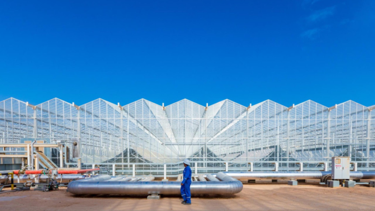 New Glasspoint announces first 1.5 GW parabolic trough field ...